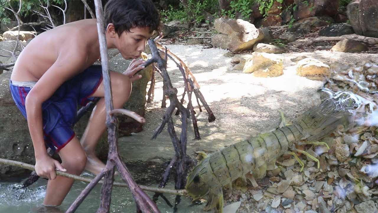 Primitive Catch and Cook Alien Shrimp - YouTube