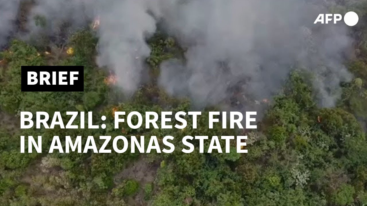 Brazil: forest fire in Amazonas state | AFP - YouTube