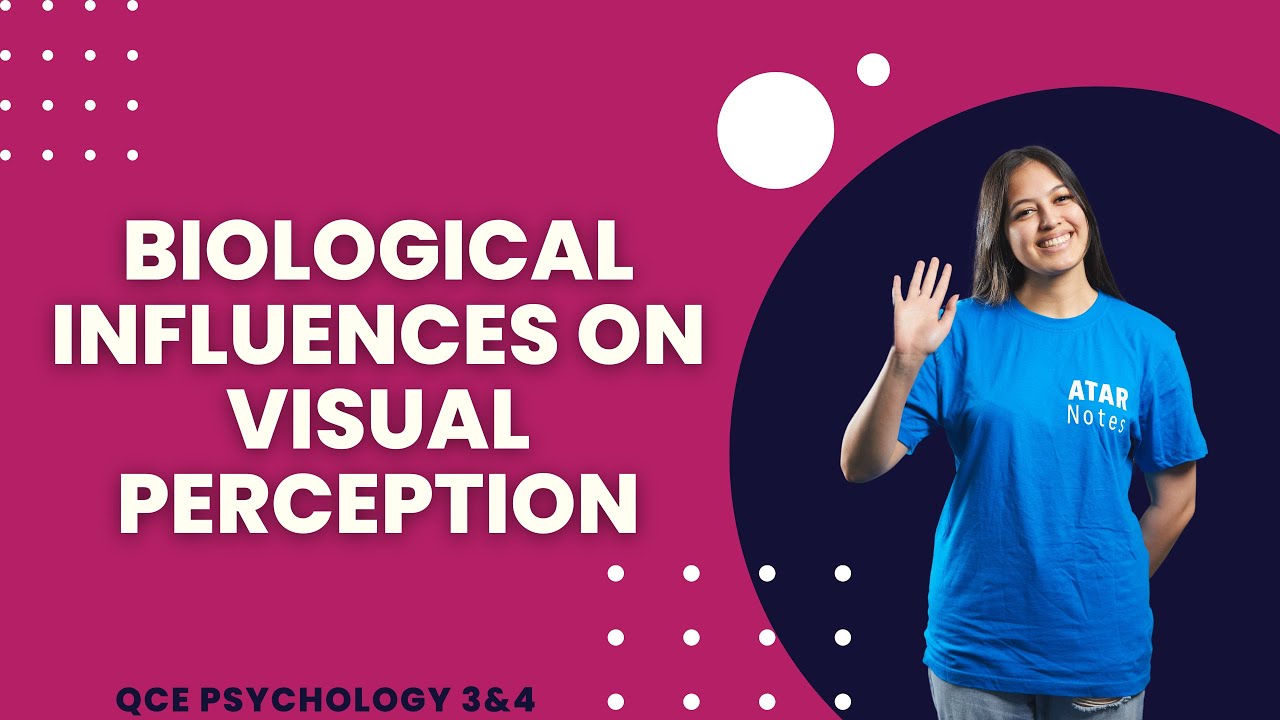 Biological Influences on Visual Perception | QCE Psychology 3&4 - YouTube