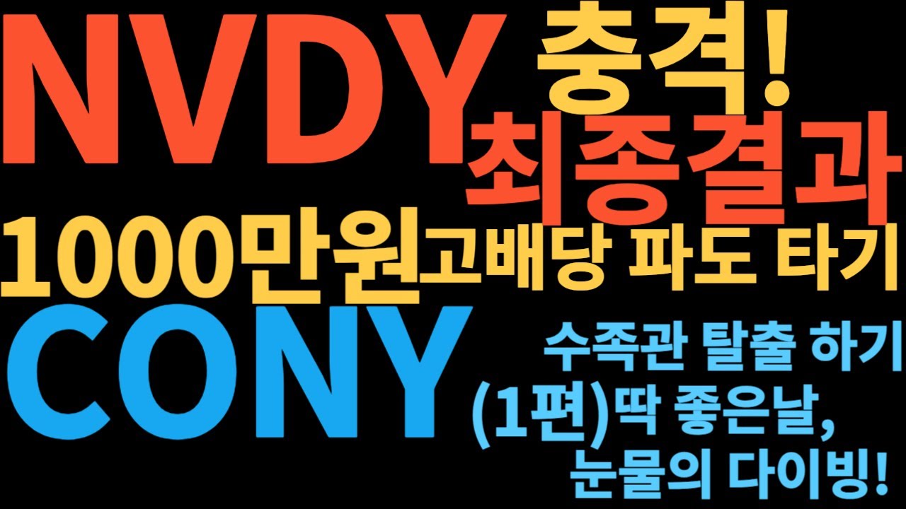 NVDY(최종 결과)충격적인../CONY(1편)죽어면, 죽어면 죽어리라! 풍등!1000원 고배당 파도타기-역시나 할게 못 된다! 그러나,,,, #NVDY#CONY ...