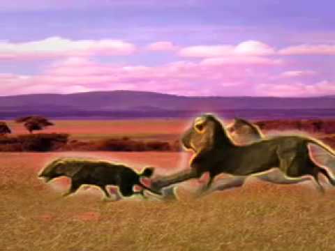 Animal Planet Promo - Class Assignment - YouTube