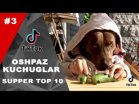 TIK TOK TOP10  \