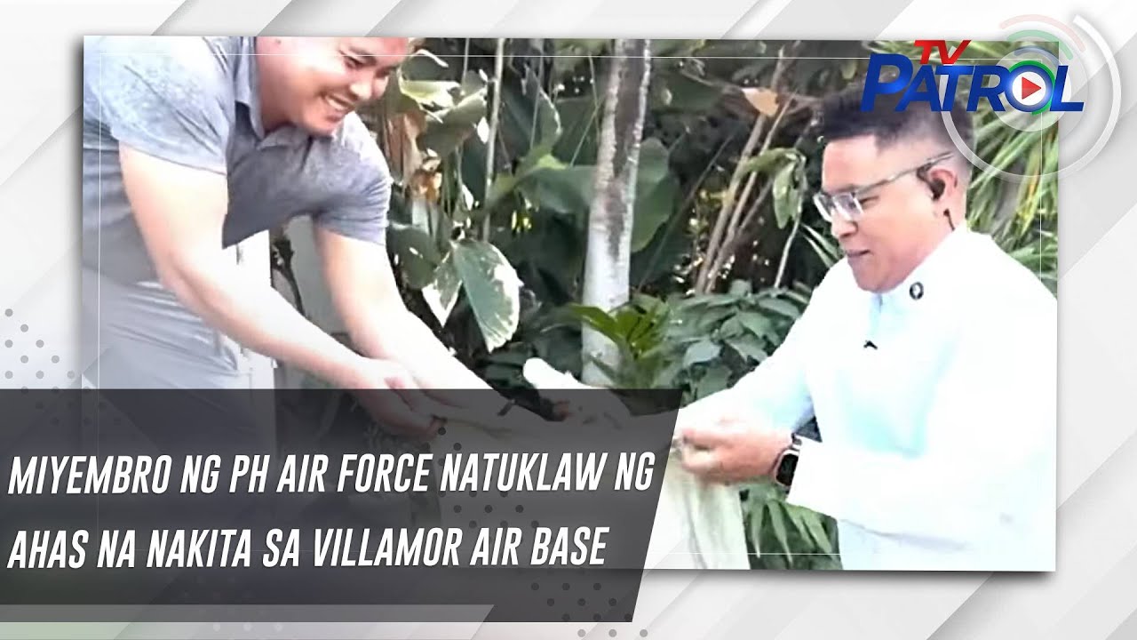 Miyembro ng PH Air Force natuklaw ng ahas na nakita sa Villamor Air ...