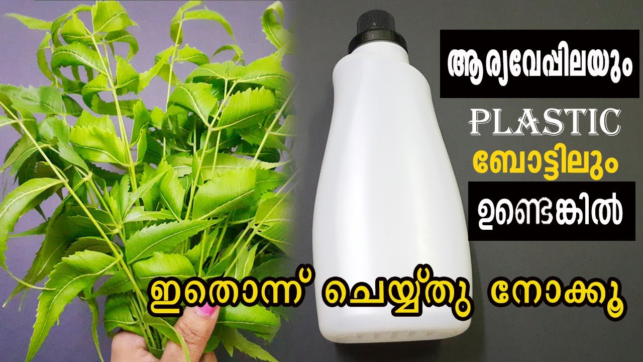 Simple and easy bottle art with Neem Leaves\\Best of out of waste ...