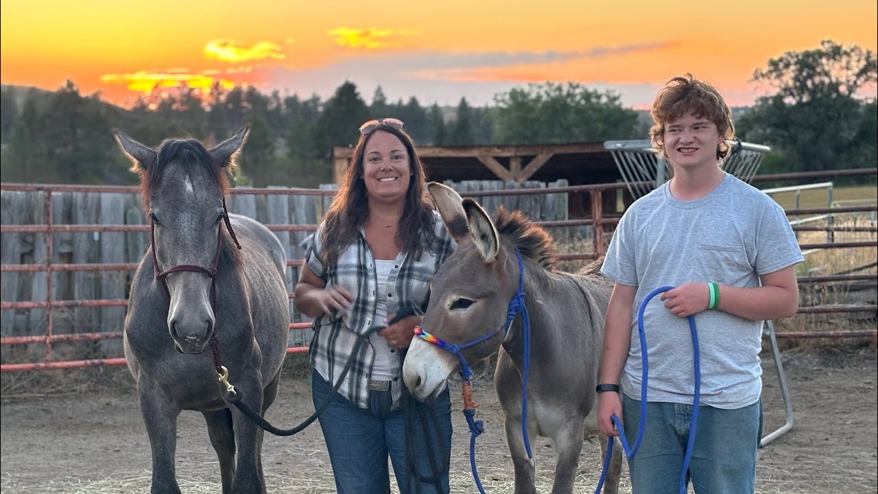 Target Training Donkeys: Step-by-Step Guide - YouTube