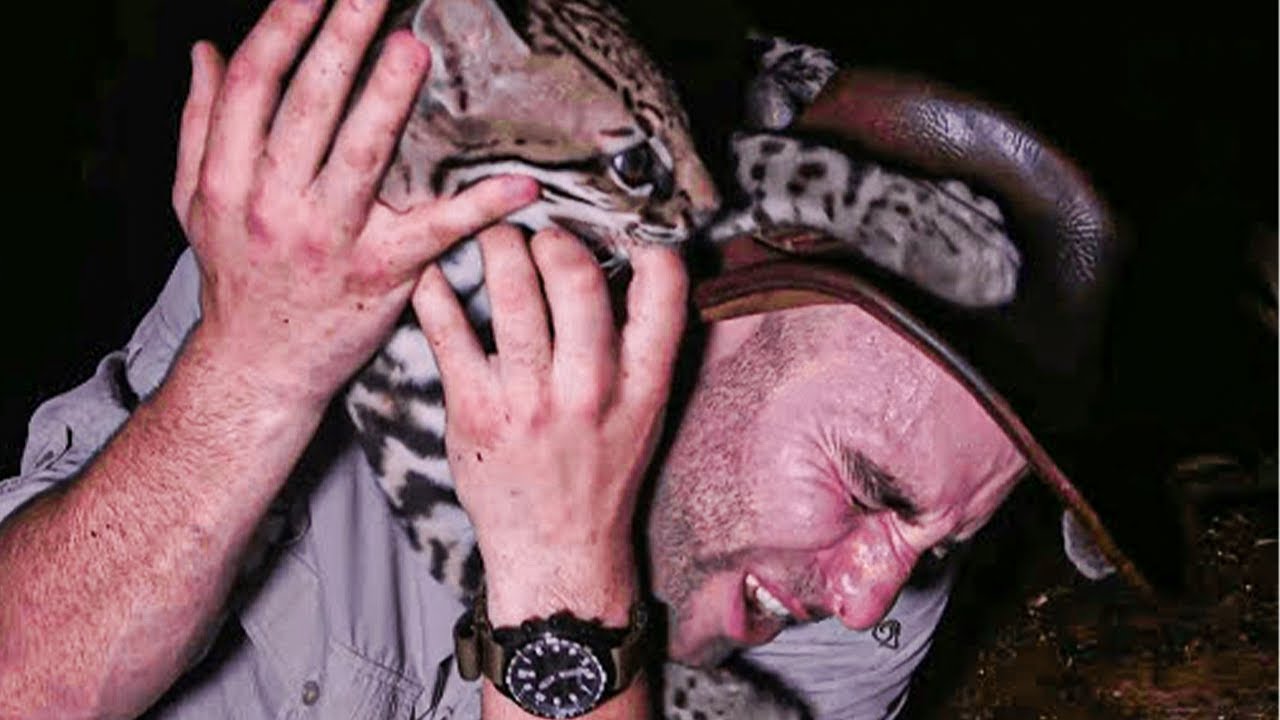 He Was Exploring the Costa Rican Jungle When a Predator Pounced, What ...