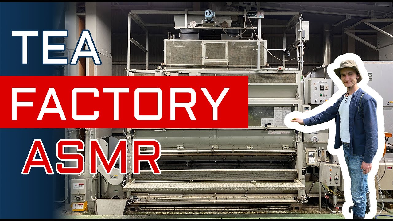 Silent Tour of a Sencha Tea Factory ASMR: Witness the Art of Tea Production - YouTube