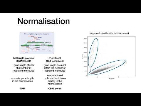 3rd scanpy session - Normalisation, Batch correction, Highly variable Genes, Embeddings - YouTube