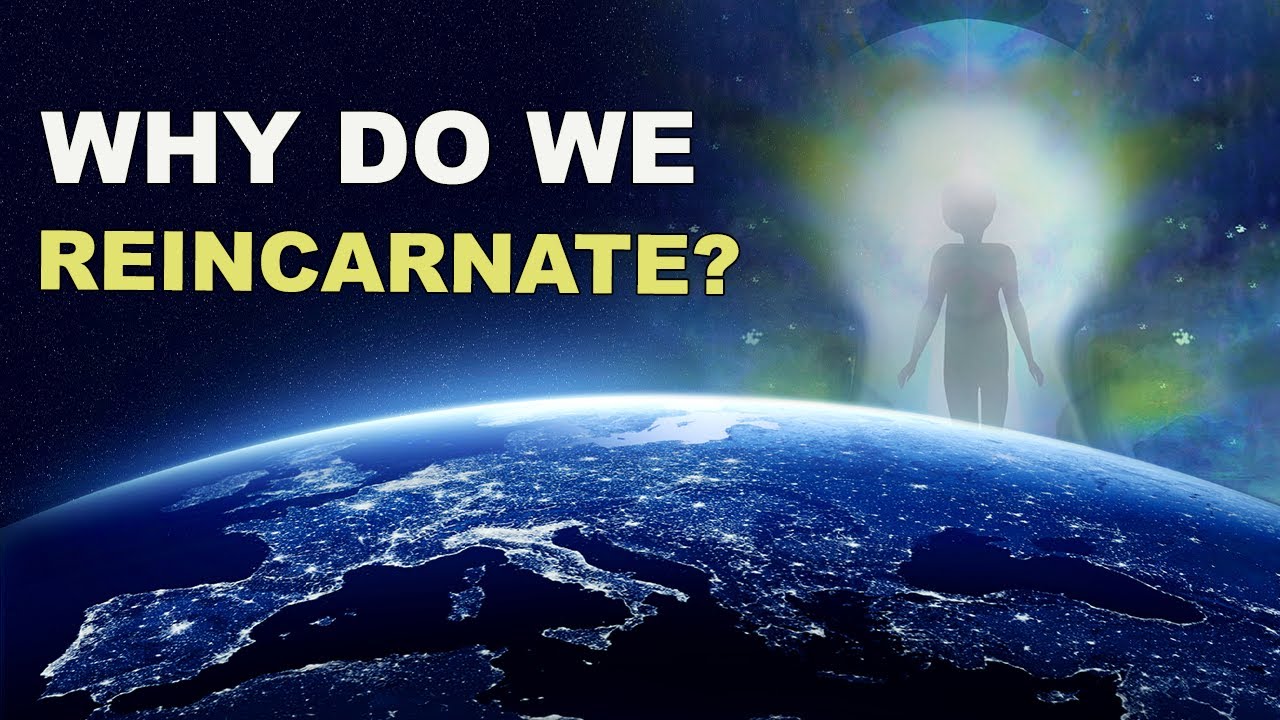 Why The $*#@ Do We Reincarnate?! - YouTube