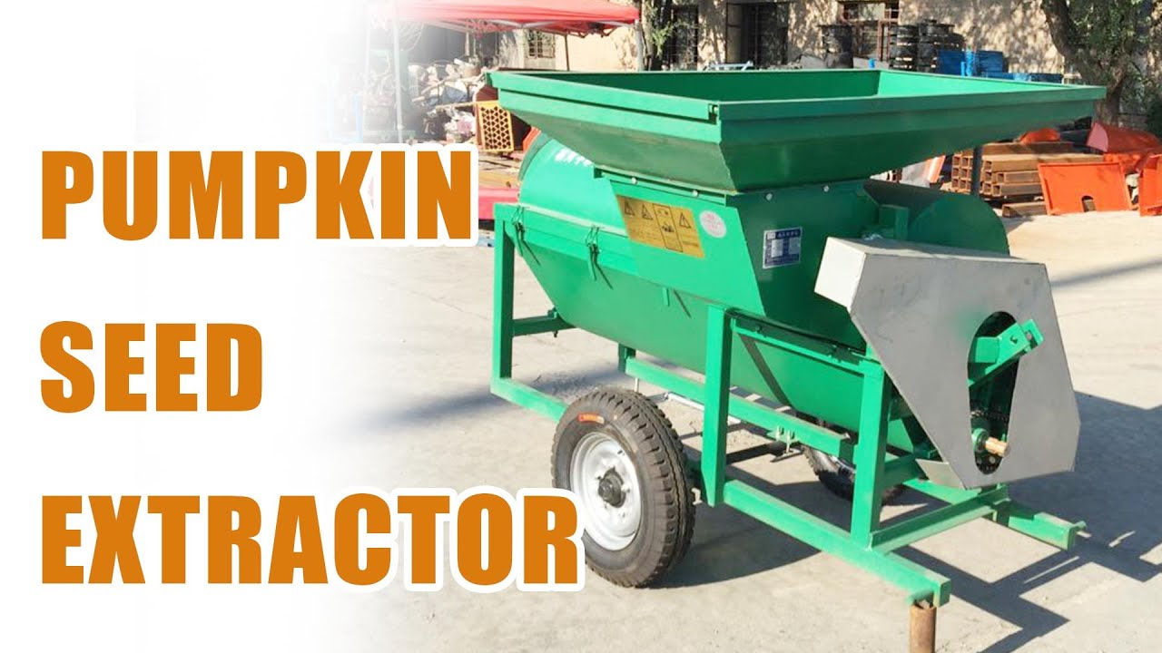 Pumpkin Seed Extractor Safety Tips for Beginners #pumpkin #extraction # ...