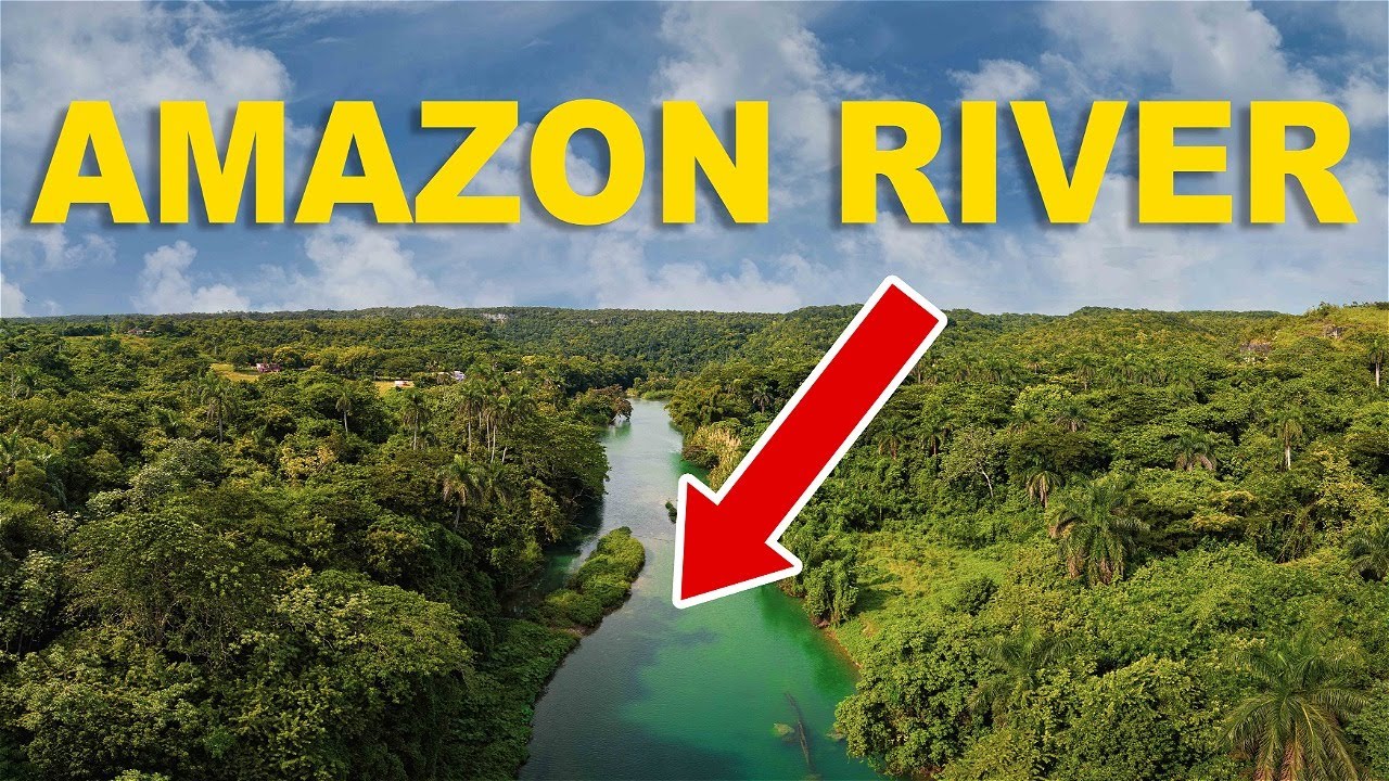 Why Bridges are not formed over the Amazon River - YouTube