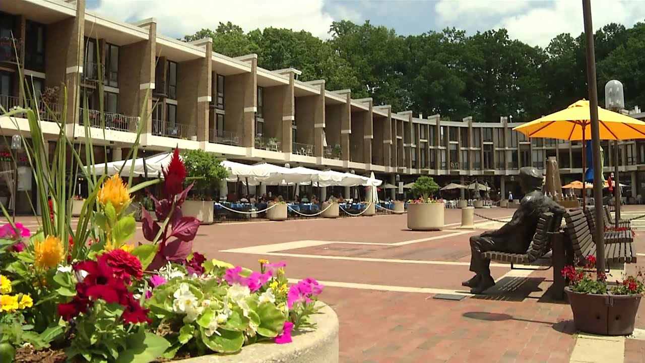 Reston Master Plan Phase II Explained - YouTube