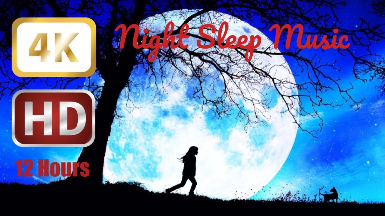 12 Hours of Amazing Nature Animation Scenery For Sleep - YouTube