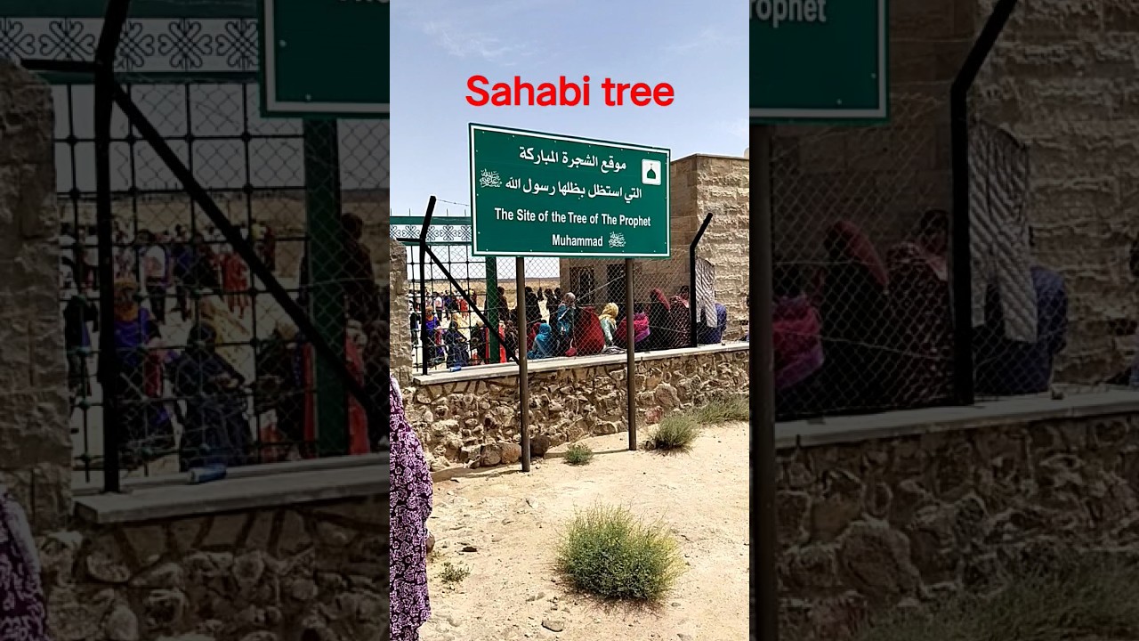 sahabi tree Jordan The site of the tree of the Prophet Mohammad S.A.W ...
