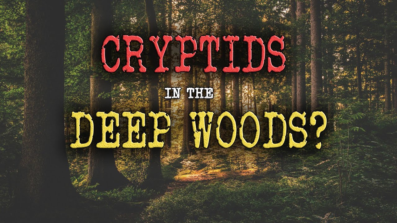 CRYPTIDS in the DEEP WOODS? INSANE and TERRIFYING Encounter 😱😱 - YouTube