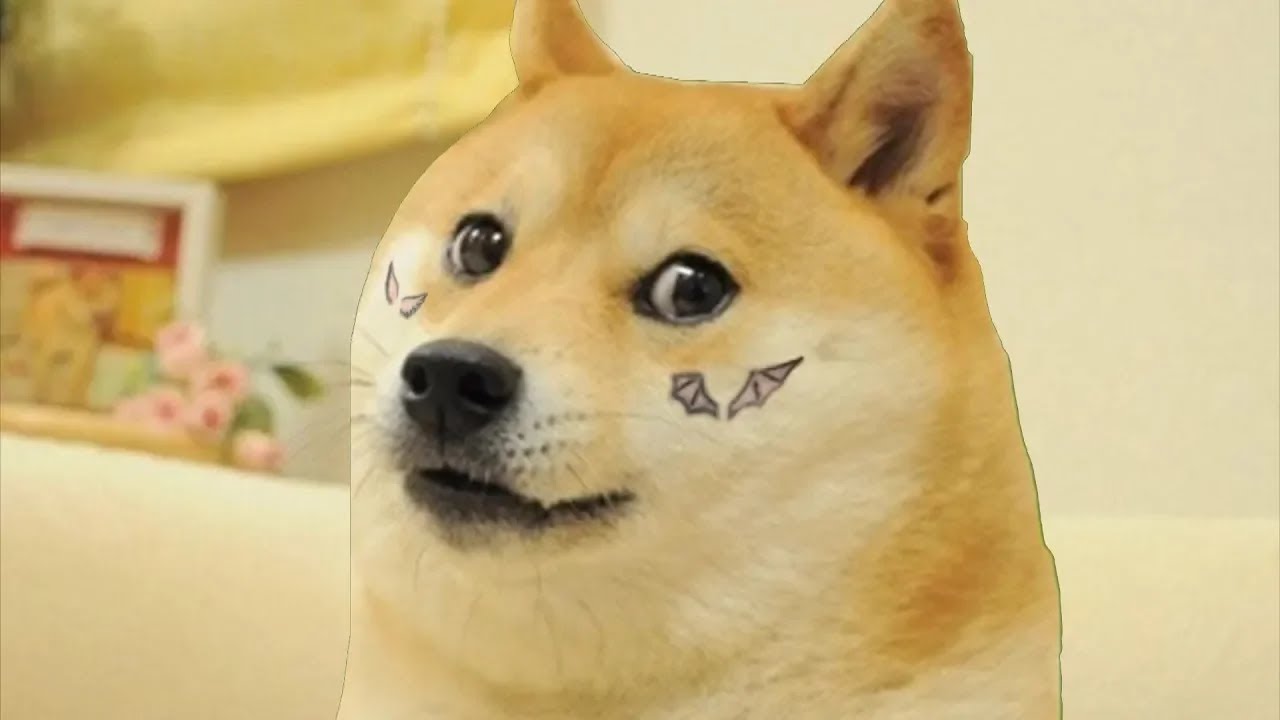 Le Duko has arrived - YouTube