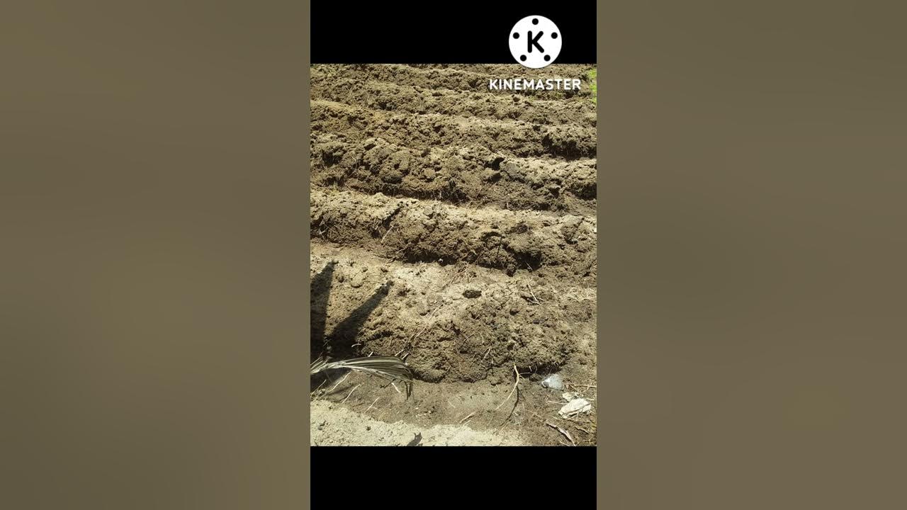 MGNREGS VADAKKEKARA GP, JSA WORK, LD/426132 - YouTube