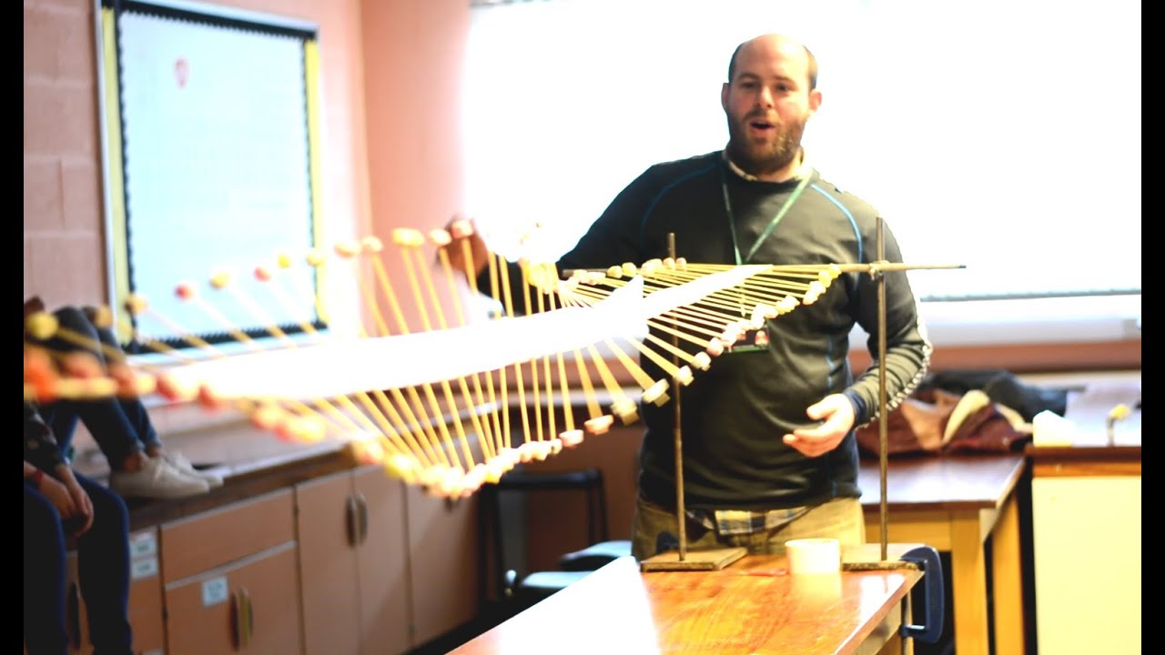 Jelly Baby Wave - YouTube