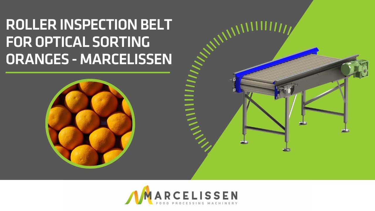 Roller Inspection Belt for Optical Sorting Oranges - Marcelissen - YouTube