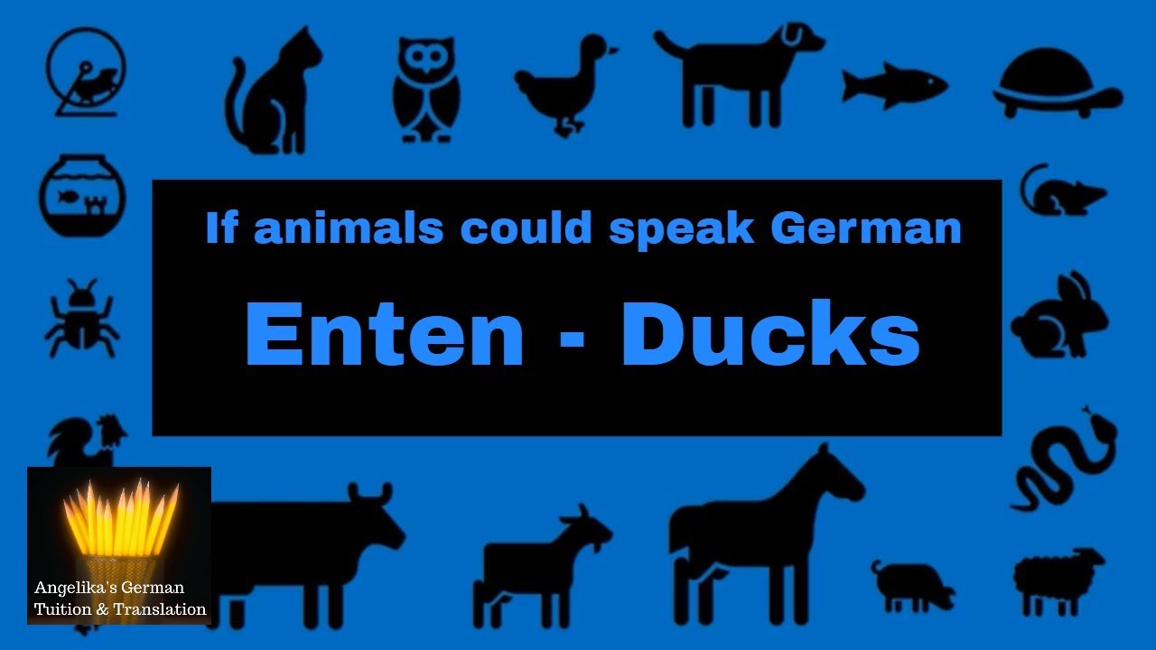 If ANIMALS could speak GERMAN: Enten - ducks - YouTube