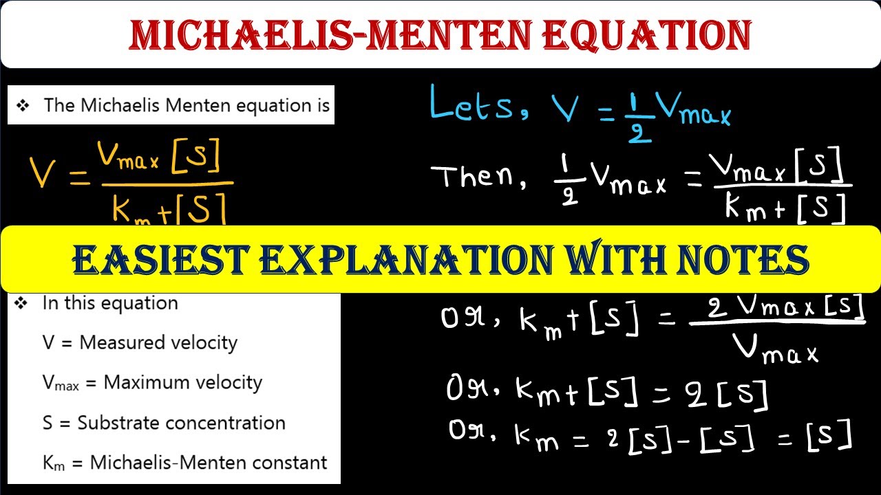 Michaelis Menten equation | Biochemistry - YouTube
