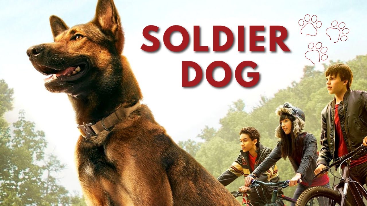 Max 2015 Full movie explained in Hindi | Story of a Military Dog ...