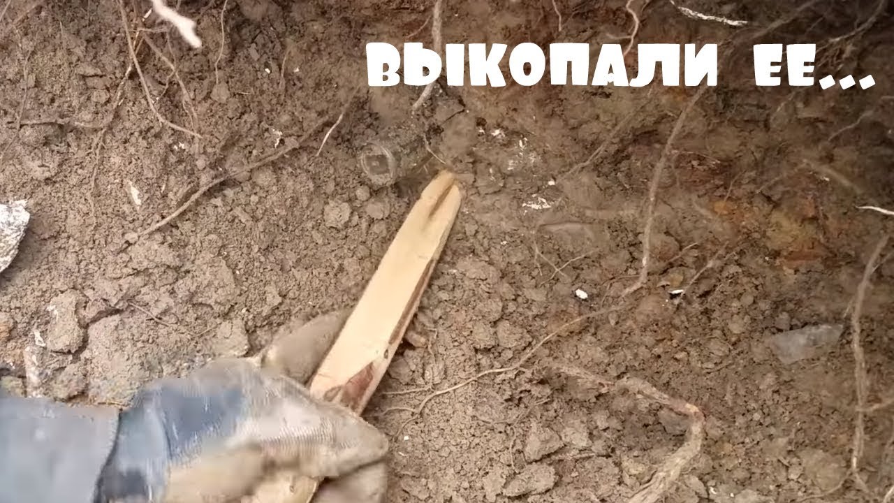 НАХОДКА КОТОРАЯ УДИВИЛА ВСЕХ . ШУРФИМ ФУНДАМЕНТ - YouTube