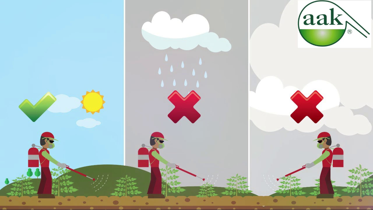 Application techniques using a knapsack sprayer - YouTube