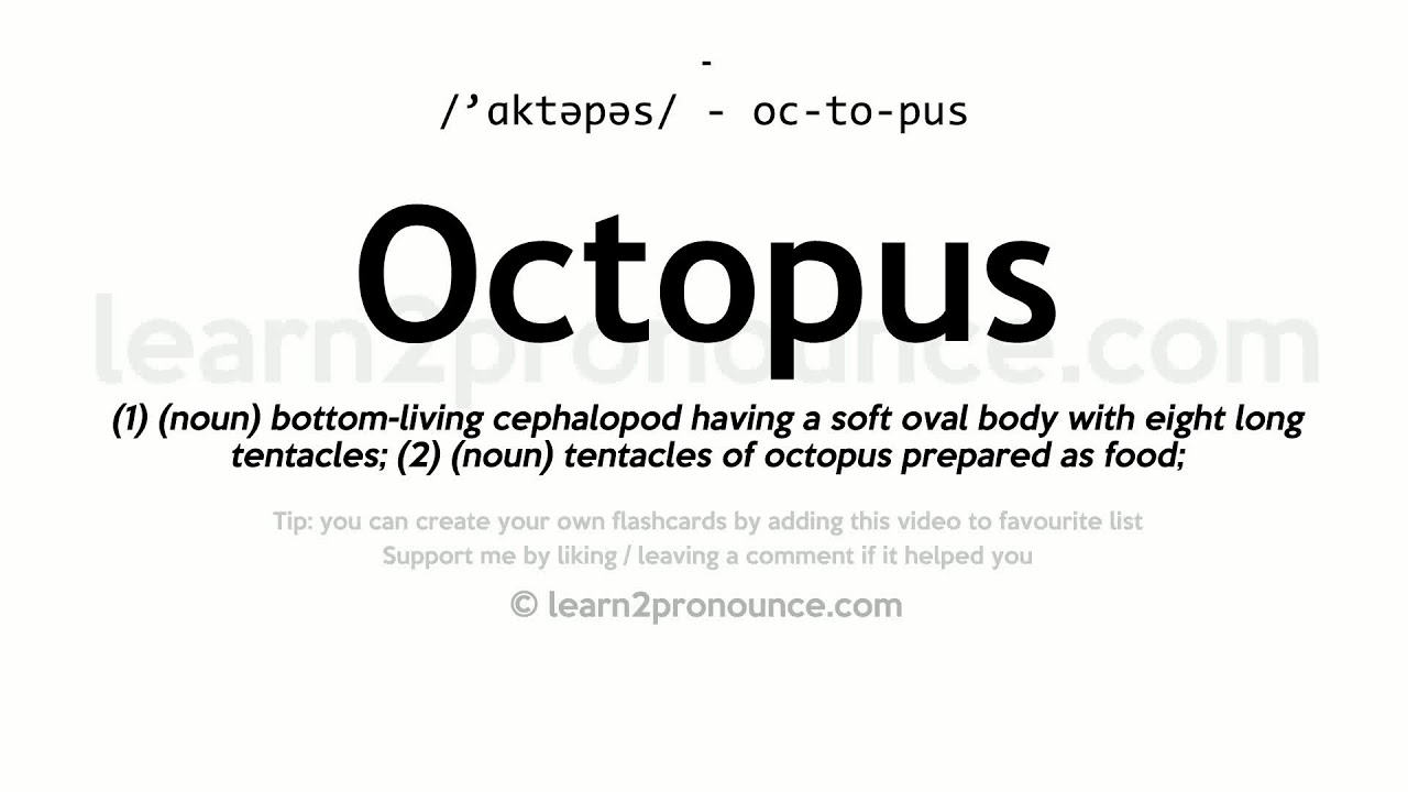 Pronunciation of Octopus | Definition of Octopus - YouTube