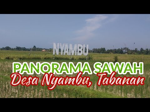 INDAHNYA, SUASANA SAWAH DI DESA NYAMBU, KEDIRI, TABANAN - YouTube