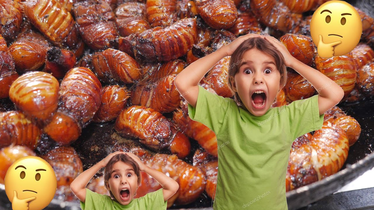 CATZOS SABOR DE LA SIERRA ECUATORIANA 2023 - YouTube