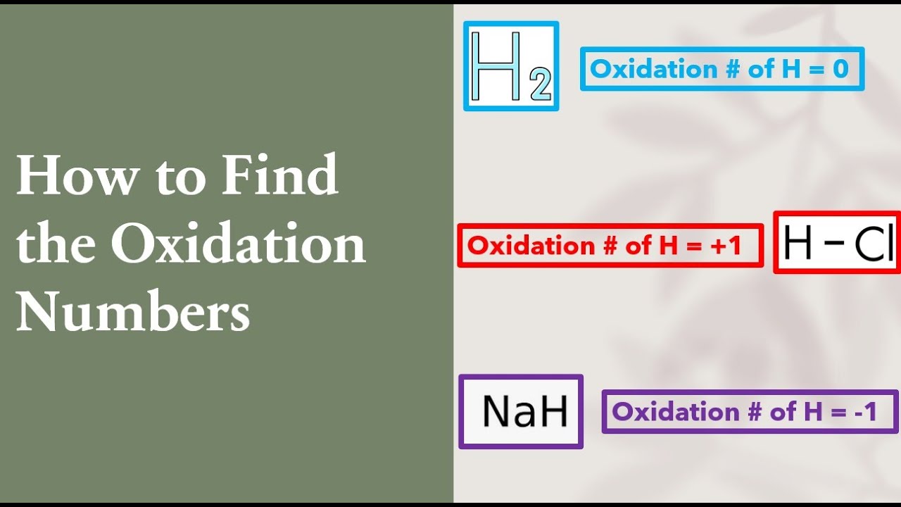 Calculating Oxidation Numbers - YouTube