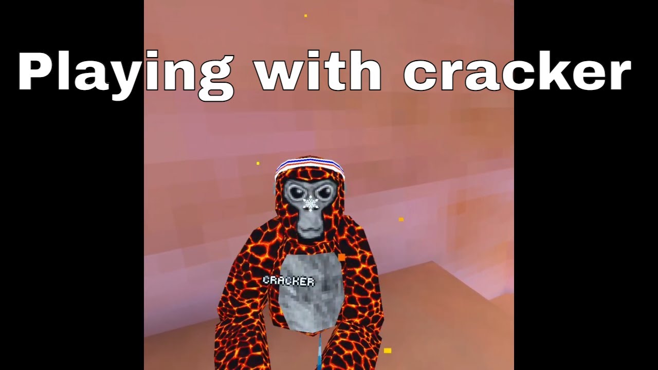 Playing with cracker in Gtag!!!!!! - YouTube