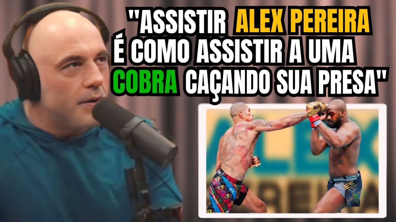 🚨 JOE ROGAN: ALEX PEREIRA CAÇA SEUS ADVERSÁRIOS COMO SE FOSSE UMA COBRA ...