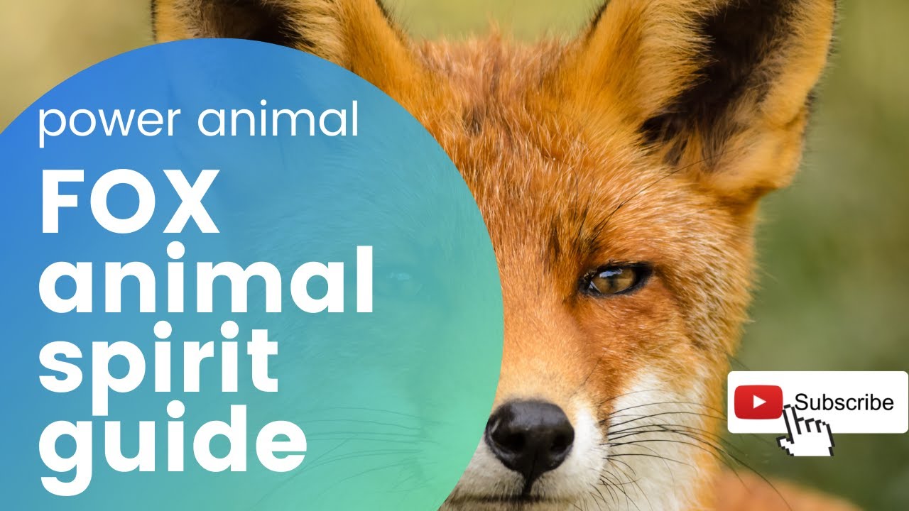 Animal Spirit Guide FOX - message if you feel uncertain or afraid - YouTube