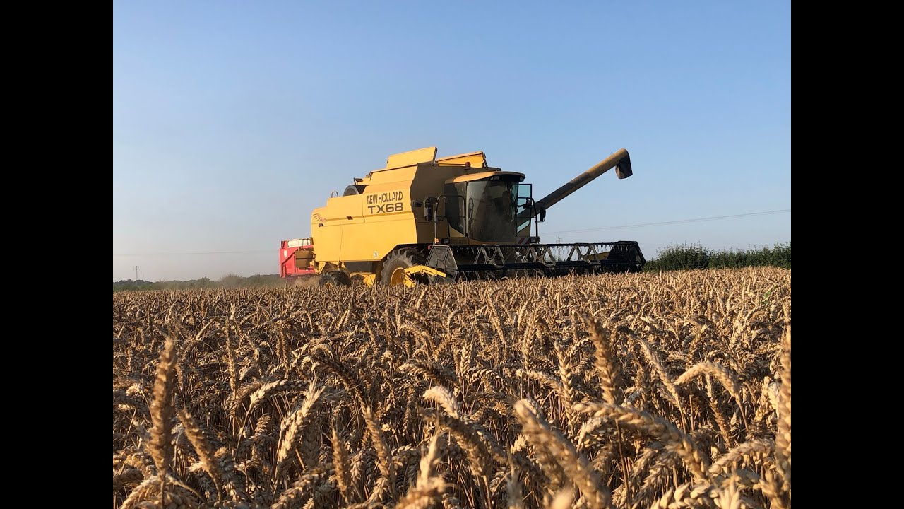 Moisson 2021 - YouTube