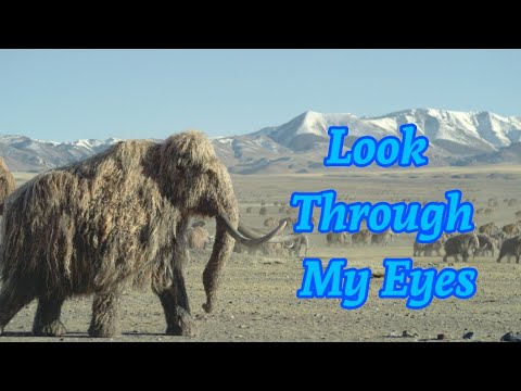 Look Through My Eyes (from Brother Bear) Prehistoric Planet: Ice Age (season 3)🎄🎬🎞🦣🐅🦥