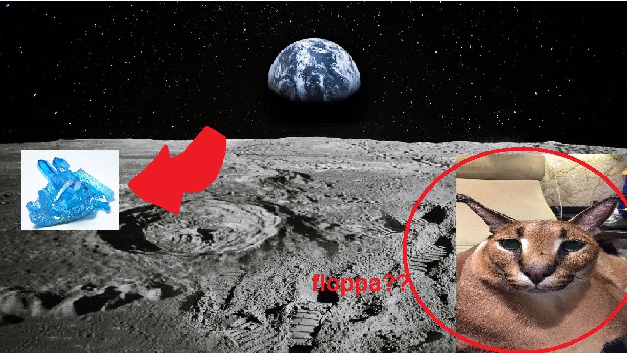 going to the moon in raise a floppa on roblox (ft. meth) - YouTube