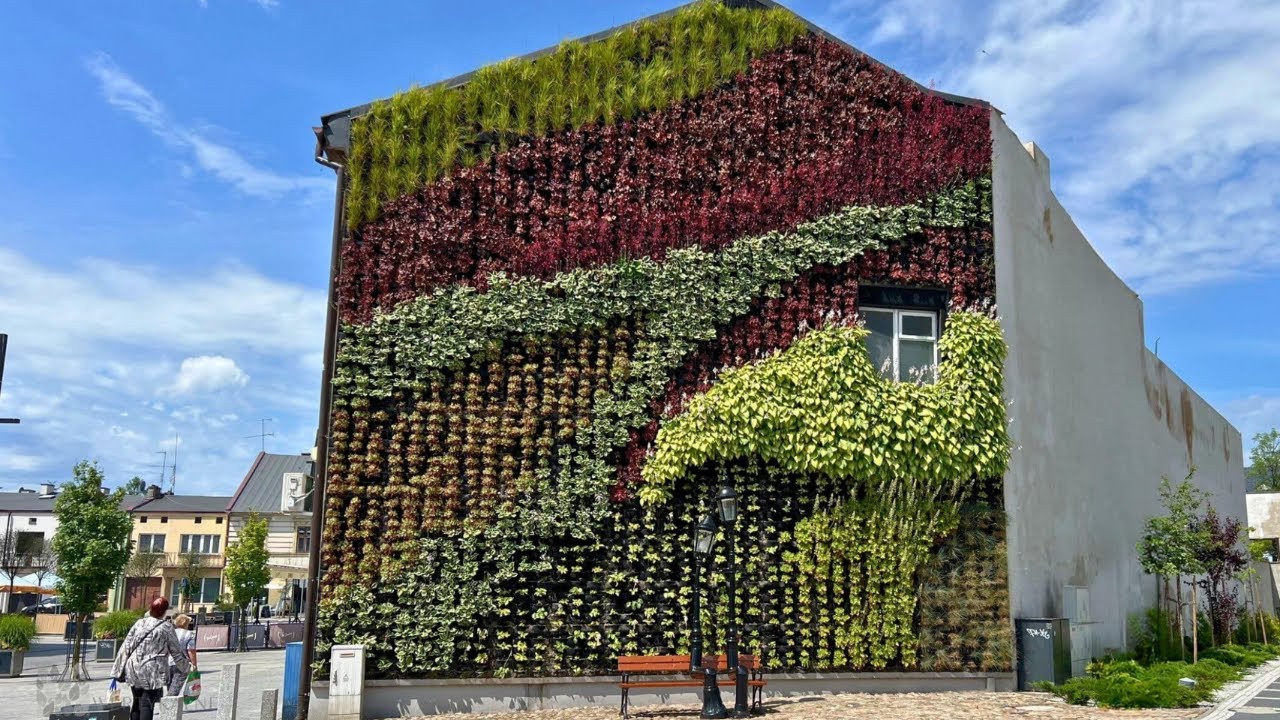 Interview with the creators of the external green wall in Radomsko, two ...