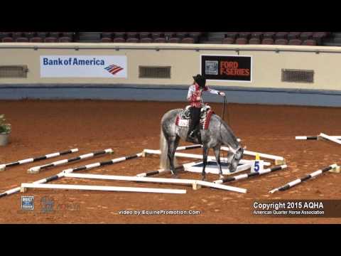 A Judge's Perspective: 2015 AQHYA Trail World Champion