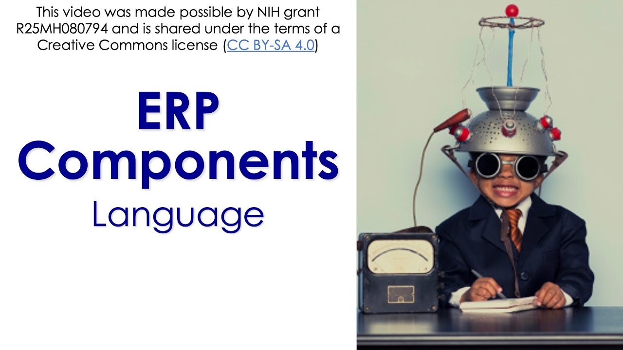 ERP Components 6- Language - YouTube