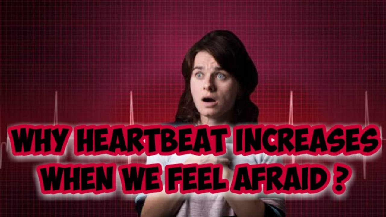 Why Heartbeat Increases When We Feel Afraid or Frightened ? - YouTube