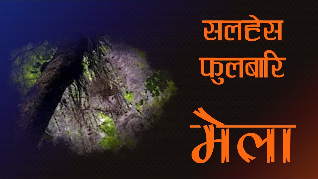 Salhes Fulbari Mela || सलहेस फुलबारि : स्नेह आ सद्भावक ऐतिहासिक स्थल ...