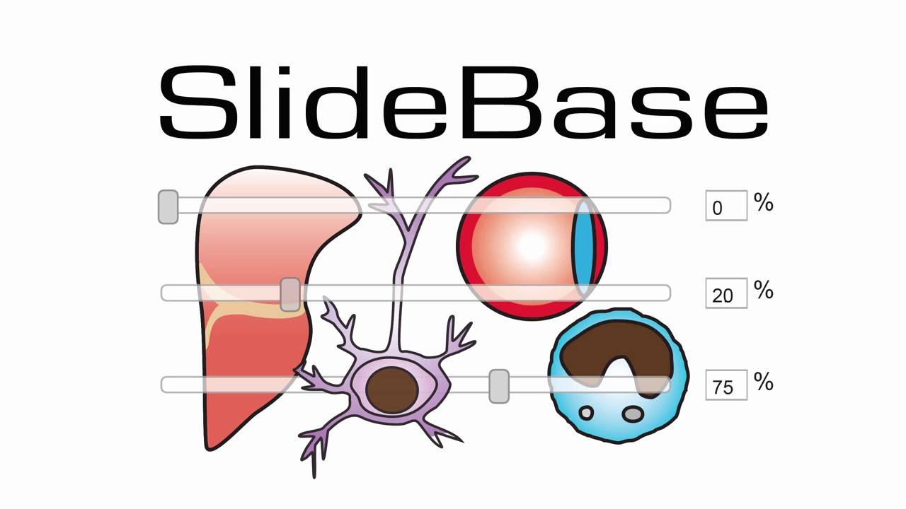 SlideBase Usage Tutorial - YouTube