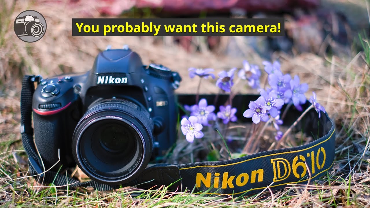 Nikon D610: an amazing full frame camera - even in 2023! - YouTube