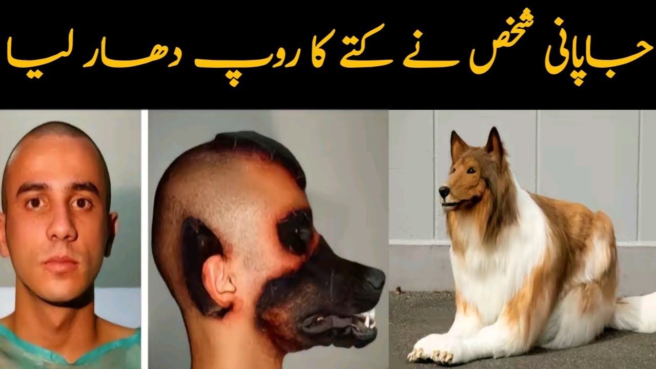 Toco Japanese Man Convert Him To Dog || Japan Dog Man - YouTube