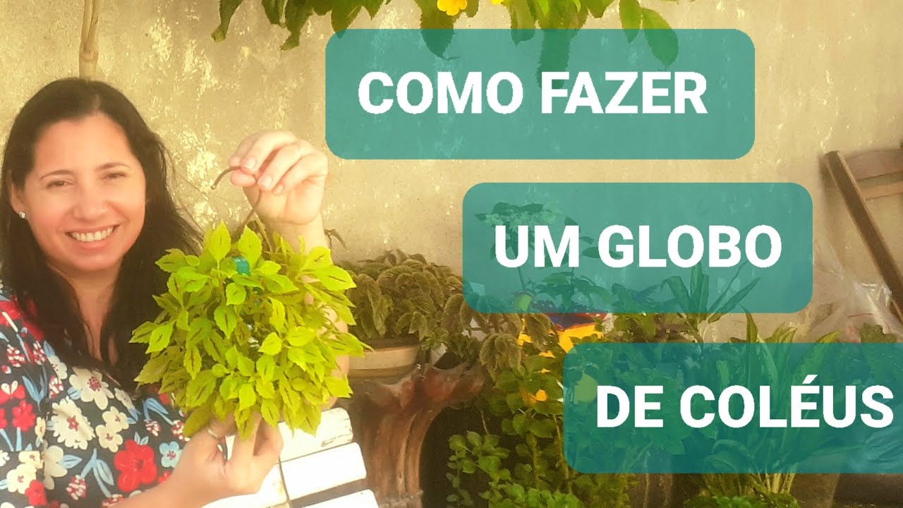 Como plantar Coléus em garrafa pet / How to make coleus plant Halls ...