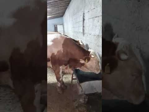 19-07-2021( AREFE GÜNÜ ) 👌