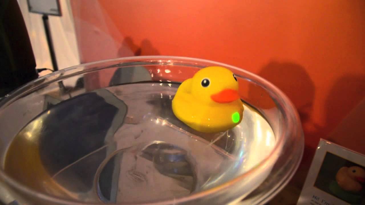 Edwin the Interactive Duck- pi Lab - YouTube