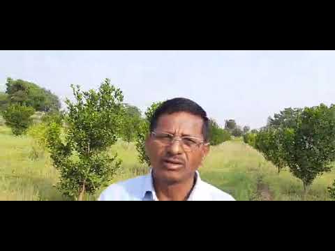 INFLUX AGROTECH PRODUCT RESULTS VILLAGE KARANJI BHATEWADI TALUKA ...